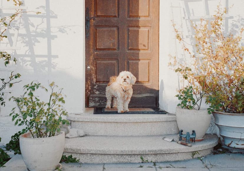 Highly rated insurance in Sweden | Hedvig